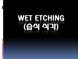 35 WET_ETCHING 레포트 자료-1페이지