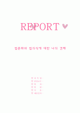 법문화와법의식에대한 나의 견해-1페이지