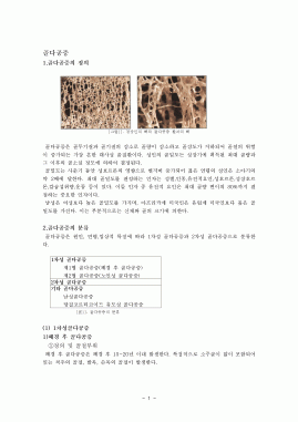 칼슘과골다공증-1페이지