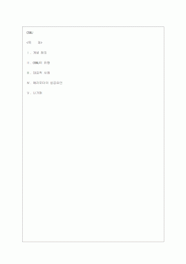 OSMU 레포트 자료-1페이지
