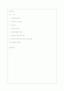 다중이론 레포트 자료-1페이지