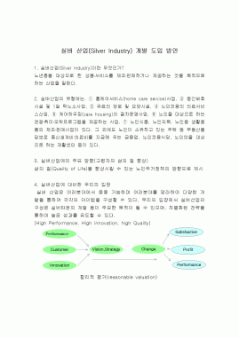 실버 산업(Silver Industry) 개발 도입 방안-1페이지