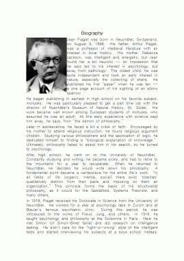 piaget theory 레포트 자료-1페이지