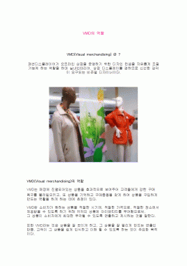 VMD의 역할 레포트 자료-1페이지