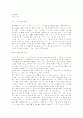 신약개론 레포트 자료-1페이지