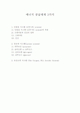 에너지 공급체계 3가지-1페이지