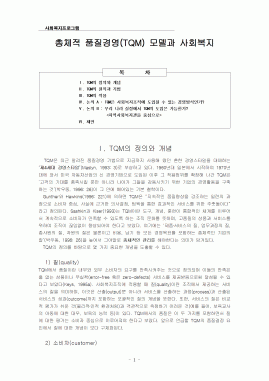 총체적 품질경영(TQM) 모델과 사회복지-1페이지