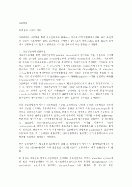 G단백질 레포트 자료-1페이지