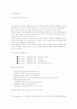 iso 9001:2000 레포트 자료-1페이지