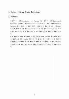 그램염색법 레포트 자료-1페이지