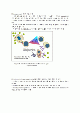 Hypersensitivity 레포트 자료-1페이지