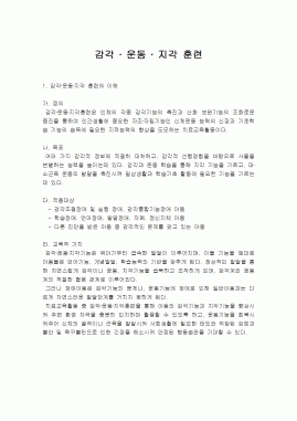 감각 운동 지각훈련 적용방법-1페이지