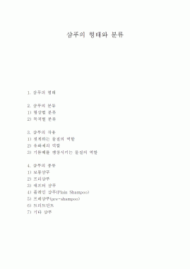 샴푸의 형태와 분류-1페이지