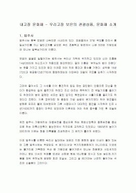 내고장 문화재 - 우리고장 보은의 관광상품, 문화재 소개-1페이지