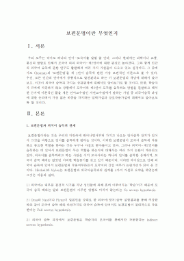 보편문법이란 무엇인지-1페이지