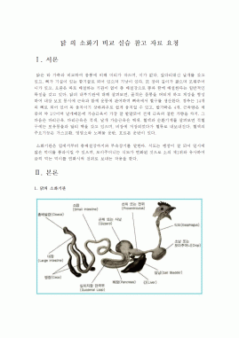 닭 의 소화기 비교 실습 참고 자료 요청 -1페이지