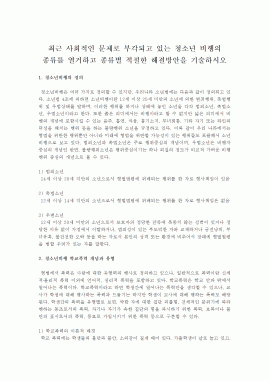 최근 사회적인 문제로 부각되고 있는 청소년 비행의 종류를 열거하고 종류별 적절한 해결방안을 기술-1페이지