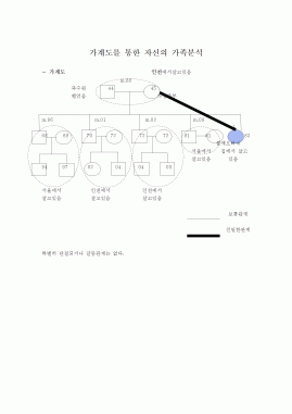 가계도를 통한 자신의 가족분석-1페이지