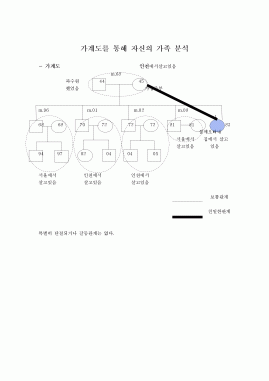 가족분석 레포트 자료-1페이지
