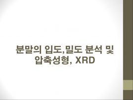 분말성형체 발표-1페이지