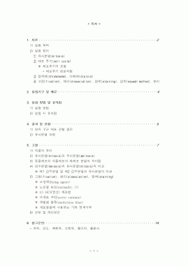 세포질분열 레포트 자료-1페이지