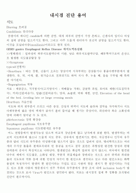 내시경적(위, 대장) 진단 용어 EJ.KIM 20120326-1페이지