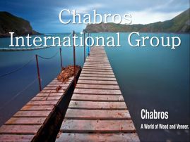 Chabros1 레포트 자료-1페이지