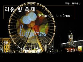 리옹_빛_축제 레포트 자료-1페이지