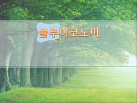 에코노믹 레포트 자료-1페이지