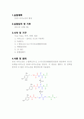 15.DNP-아미노산의 합성-1페이지