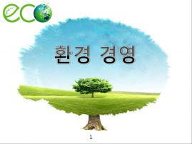 경영학 - 환경 경영-1페이지