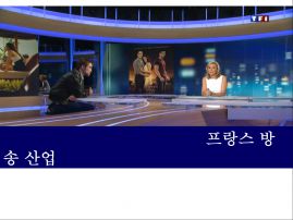 프랑스 방송 산업-1페이지