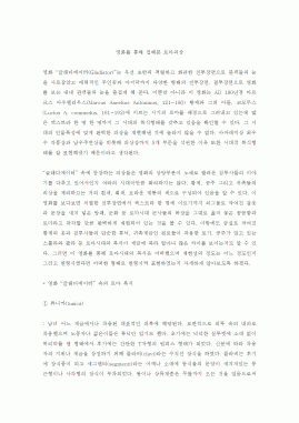 [레포트] 영화 글래디에이터 를 통해 접해본 로마의상-1페이지