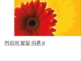 커리어 발달 이론 II-1페이지