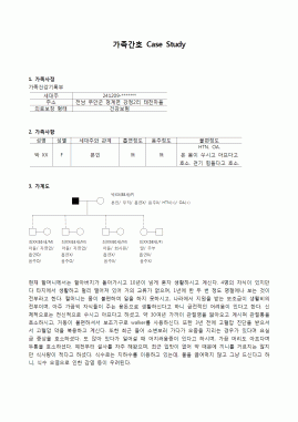 [지역사회간호학 실습] 가족간호과정, 가족간호 케이스(CAST STUDY)-1페이지