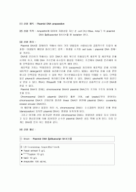 [생명공학] Plasmid DNA preparation-1페이지