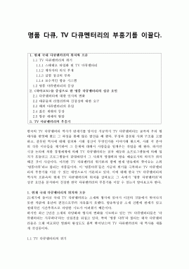 명품 다큐, TV 다큐멘터리의 부흥기를 이끌다.-1페이지
