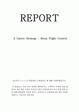 A Career Strategy 레포트 자료-1페이지