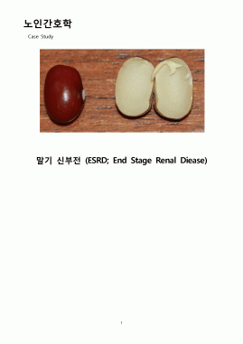 [노인간호학] 말기 신부전 (ESRD; End Stage Renal Diease)-1페이지