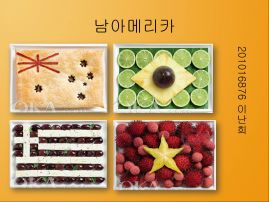 남아메리카 레포트 자료-1페이지