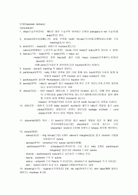 제왕절개술(C/SEC) 수술실 케이스-1페이지