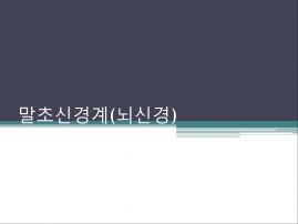 말초신경계 레포트 자료-1페이지
