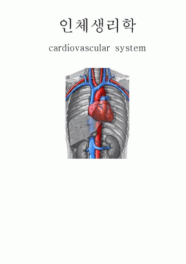 인체생리학 심혈관계 (cardiovascular system)-1페이지