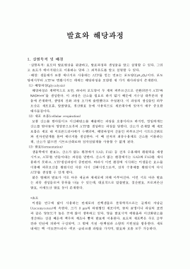 [생물실험] 발효와 해당과정-1페이지