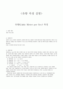 [토목, 수문학] 유체역학 - 유량(Cubic Meter per Sec) 측정 실험-1페이지