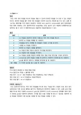 리눅스 명령어 정의, 옵션, 어떻게 사용되는가, 예제-1페이지