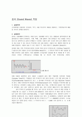 음파 (Sound Waves) 측정 (북스힐 2012년 최신개정판)-1페이지