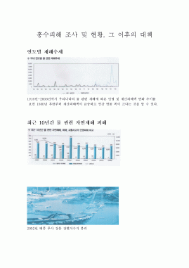 상하수도 홍수피해&현황 그후대책-1페이지