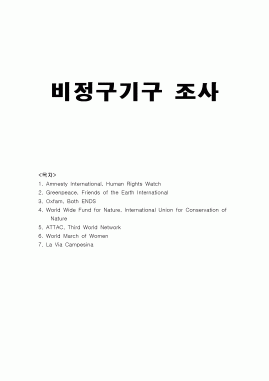 비정구기구 조사-1페이지