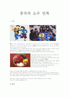 중국의 소수 민족에 대해서-1페이지